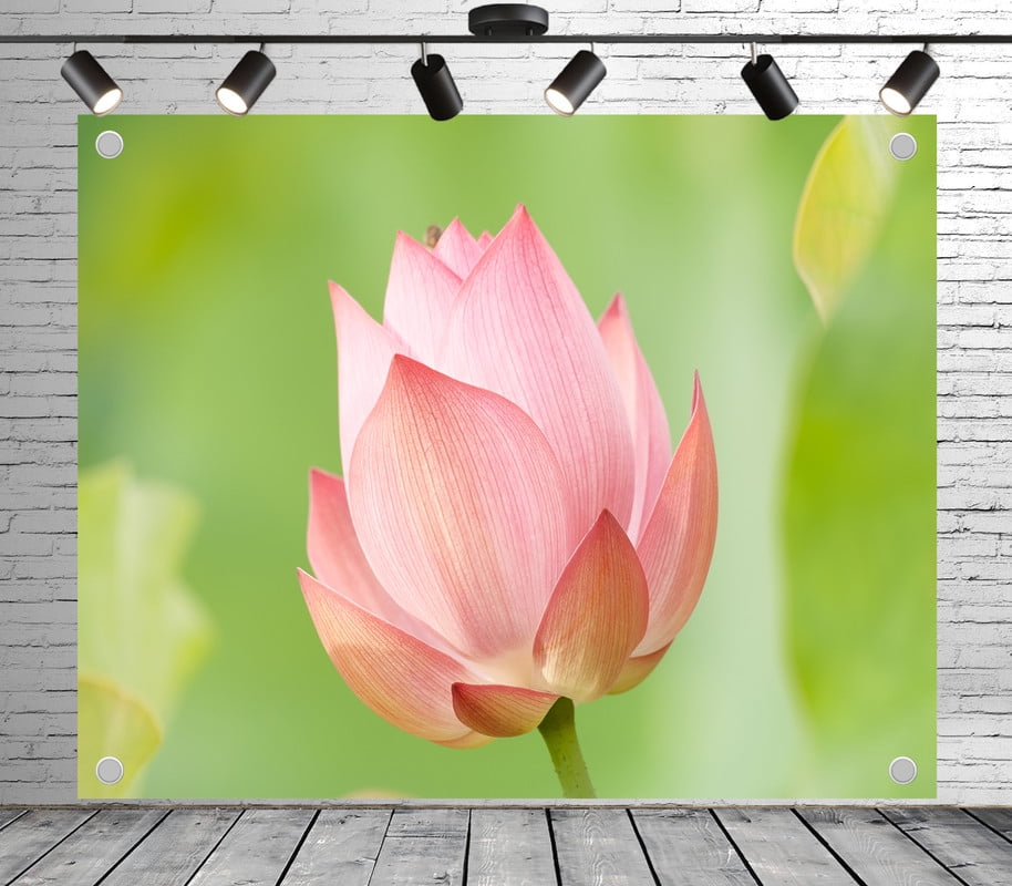 5x3ft Floral Backdrop Pink Lotus Pond Photo Backdrop Garden Background ...