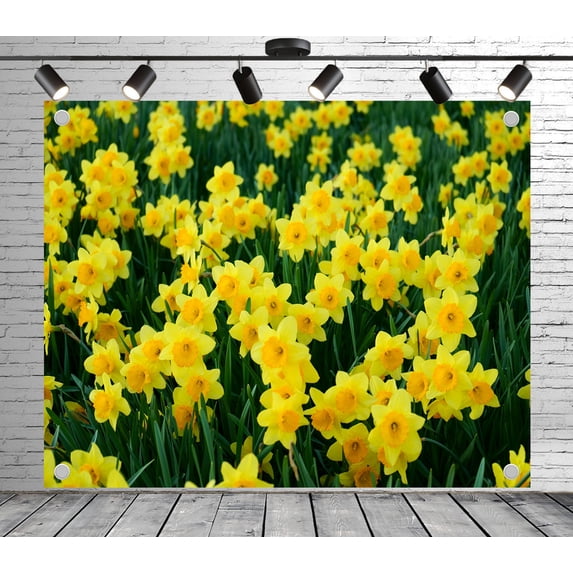 5x3ft Floral Backdrop Yellow Daffodil Field Photo Backdrop Garden ...