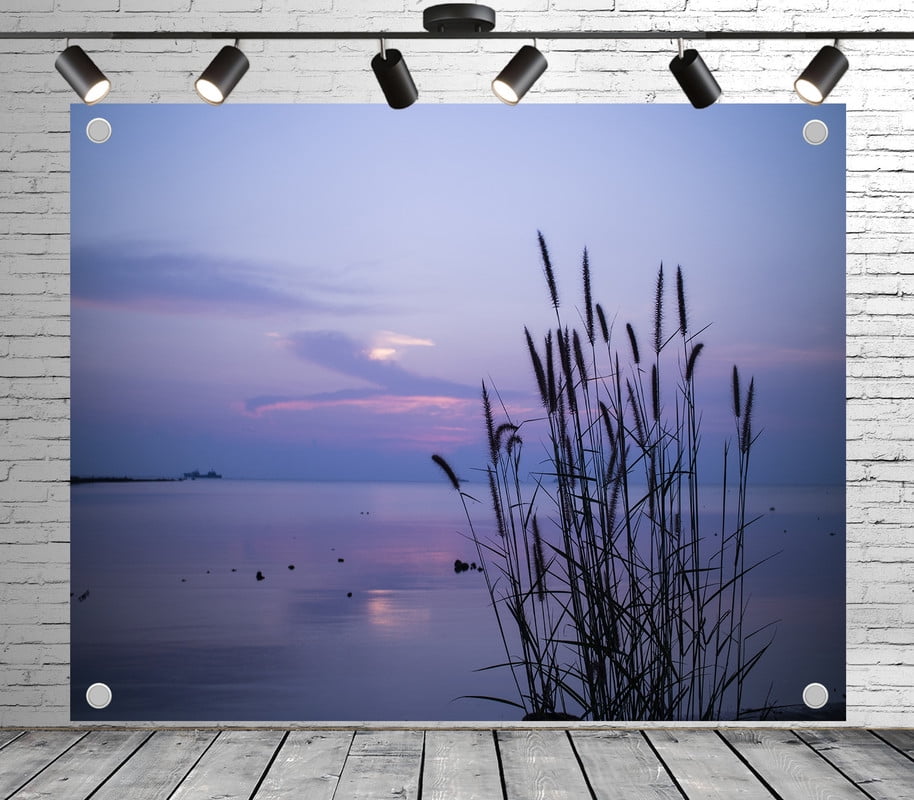 5x3ft Romance Backdrop Reeds by the Lake Photo Background Decoration ...