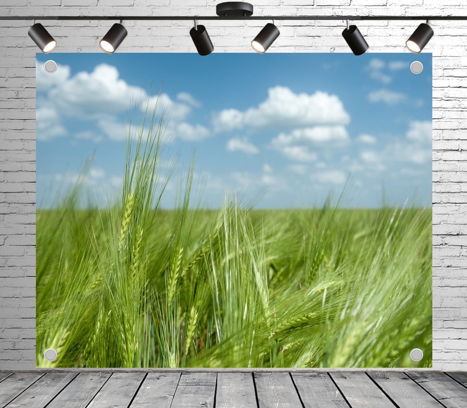 5x3ft Rustic Backdrop Green Wheat Field Photo Backdrop Photography ...