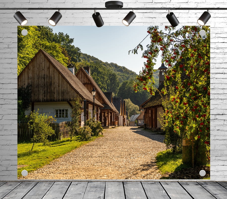 5x3ft Rustic Backdrop Village Street with Old Houses Photo Backdrop ...