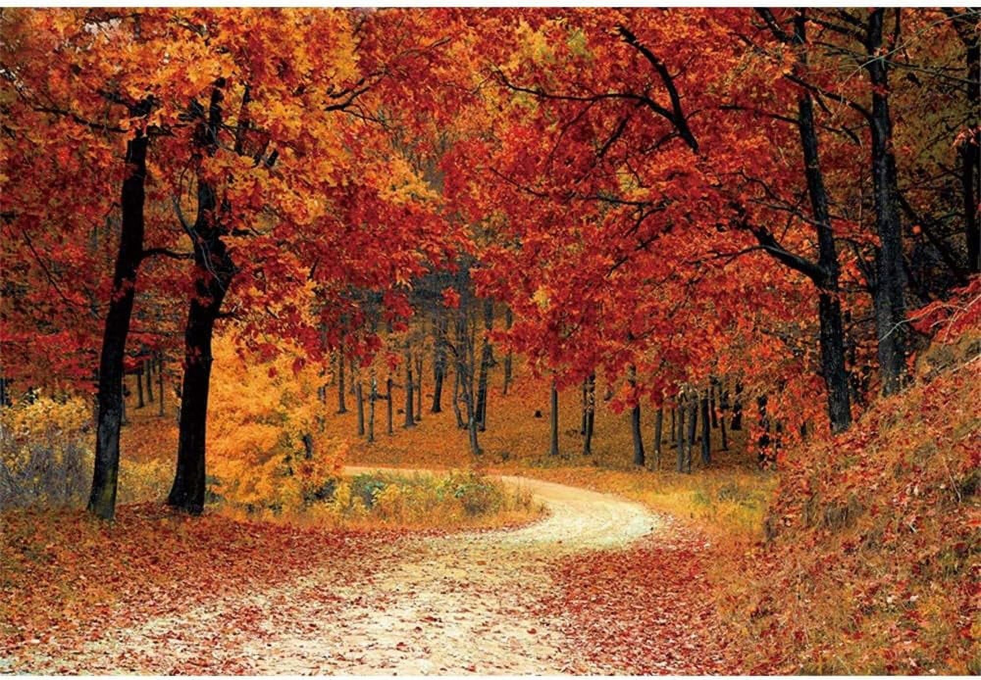 5x4ft Autumn Forest Backdrop Red Maple Trees Mountain Road Deciduous ...