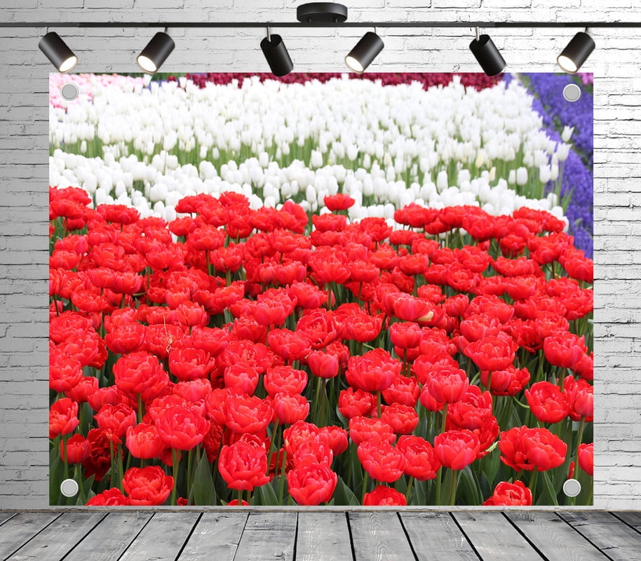 5x4ft Floral Backdrop Colorful Tulip Flower Field Photo Backdrop Garden ...