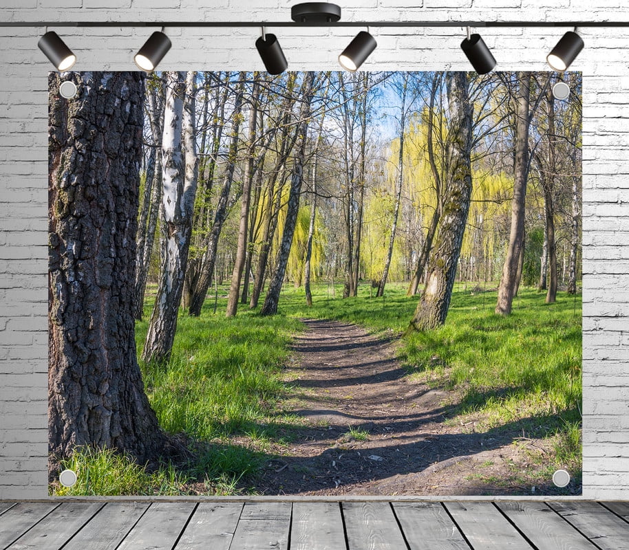 5x4ft Serene Forest Path in Spring Backdrop Photoshoot Photo Backdrop ...