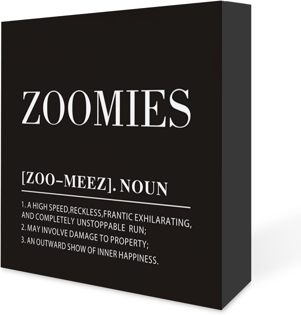 5x5 IN Dog Lover Gift Zoomies Definition Wooden Box Sign Dog Theme Desk ...