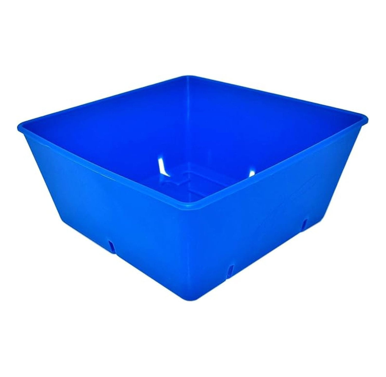 5x5 Seed Tray Blue - 80 Pack - Extra Strength 5 x 5 Inserts Grow ...