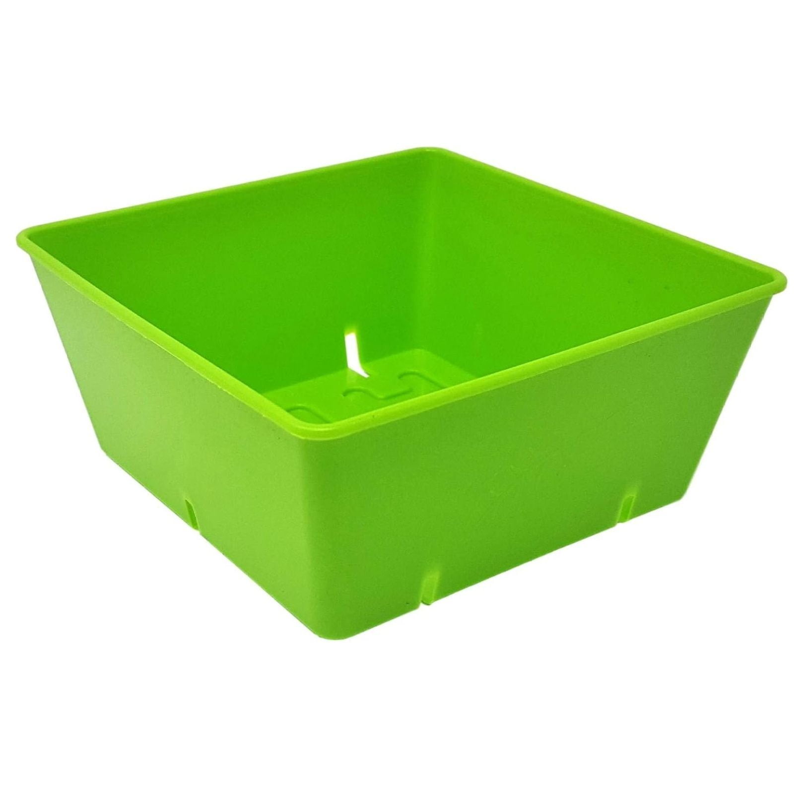 5x5 Seed Tray Green - 80 Pack - Extra Strength 5 x 5 Inserts Grow ...