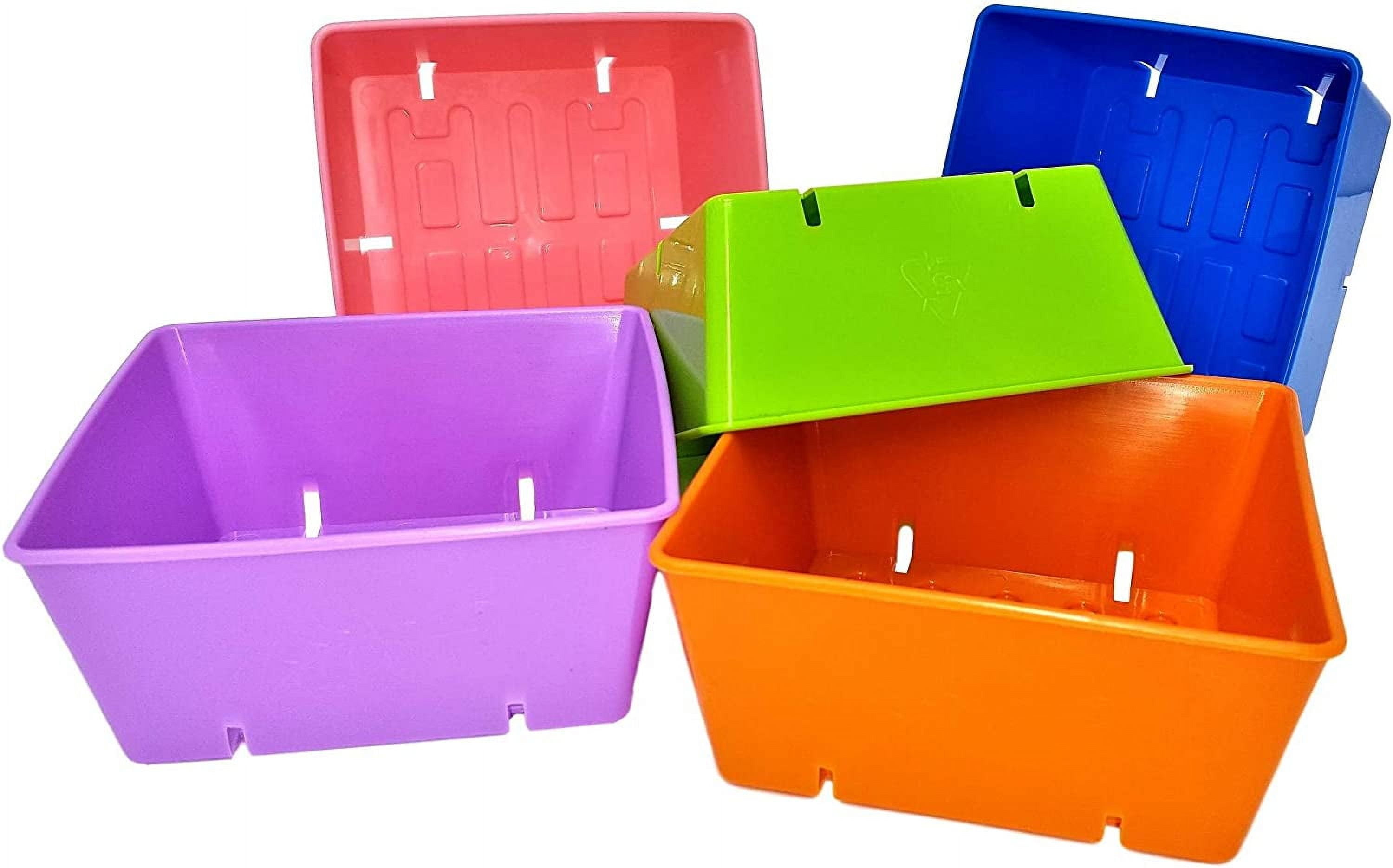 5x5 Seed Tray Multi Color - 80 Pack - Extra Strength 5 x 5 Inserts Grow ...