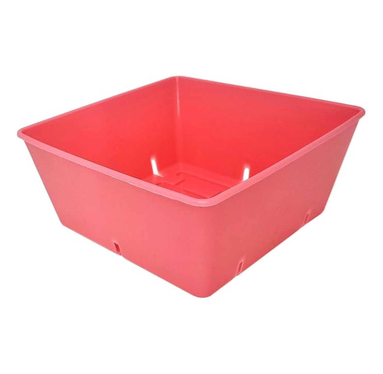 5x5 Seed Tray Pink - 80 Pack - Extra Strength 5 x 5 Inserts Grow ...