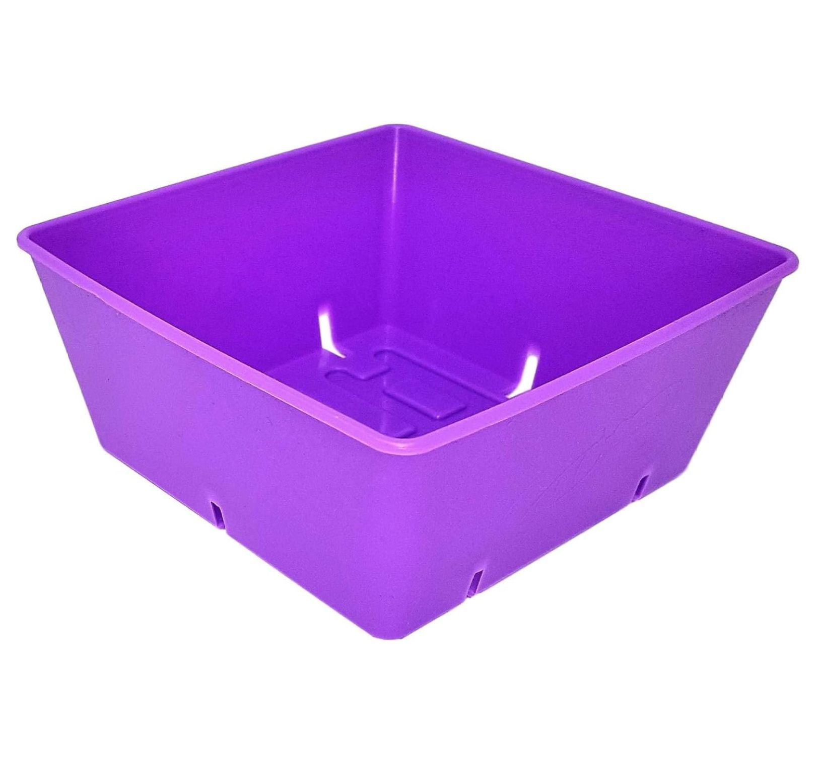 5x5 Seed Tray Purple - 40 Pack - Extra Strength 5 x 5 Inserts Grow ...