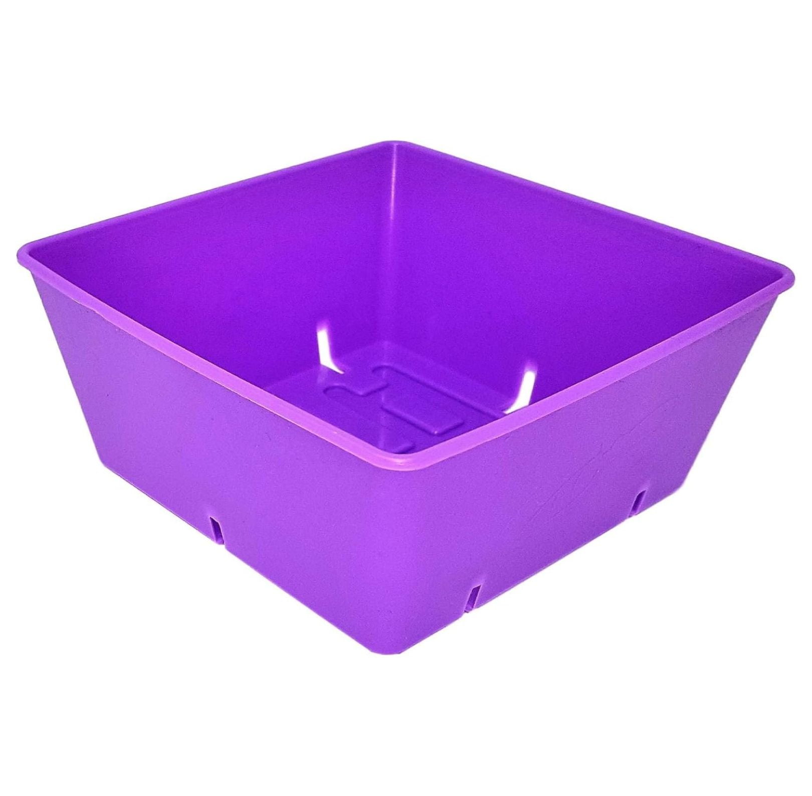 5x5 Seed Tray Purple - 40 Pack - Extra Strength 5 x 5 Inserts Grow ...