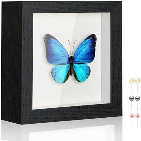 5x5 Shadow Box Picture Frame Display Case with Soft Linen Back ...