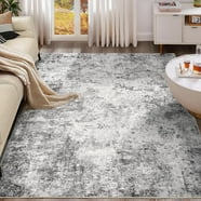 BERTHMEER 3'x5' Gray Abstract Area Rugs for Entryway Office Bedroom ...