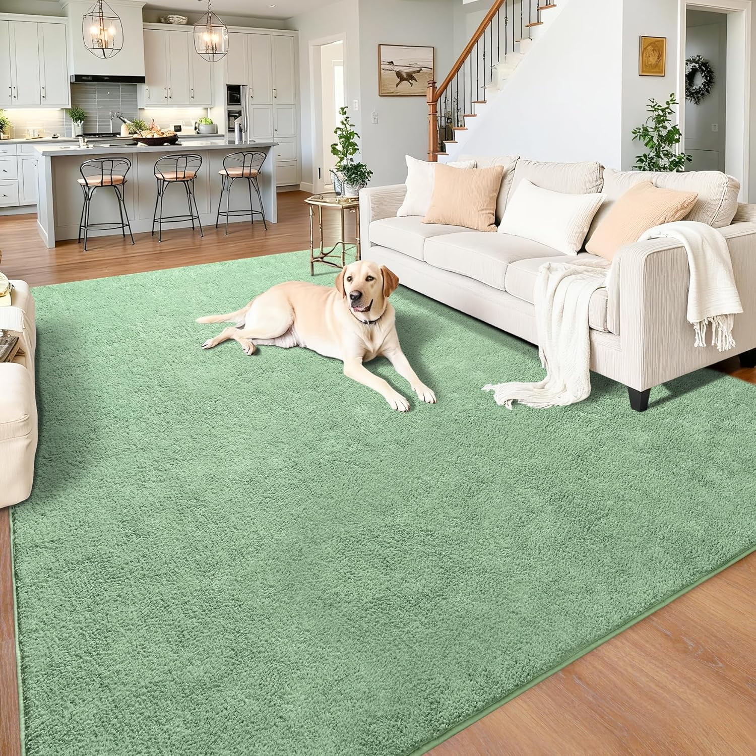 5x7 Minimalist Washable Area Rugs for Bedroom Living Room Classroom ...