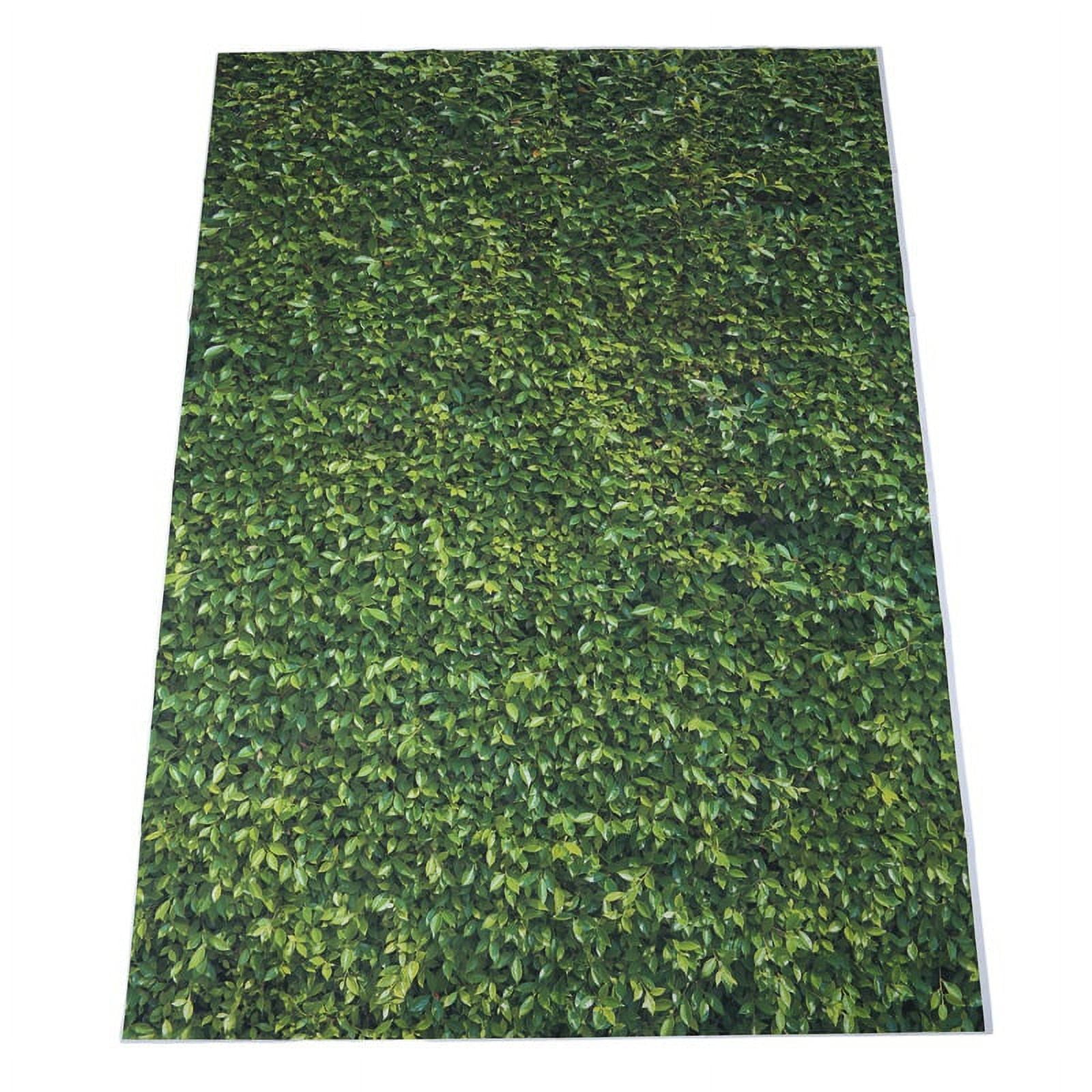 1 x Photography Backdrop-Green - Walmart.com