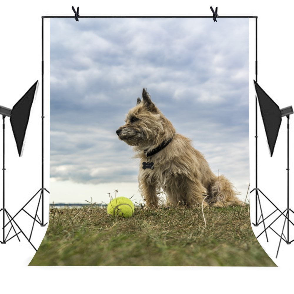 5x7ft Animal Photography Backdrop Dog Grass Globe Blue Sky White Clouds ...