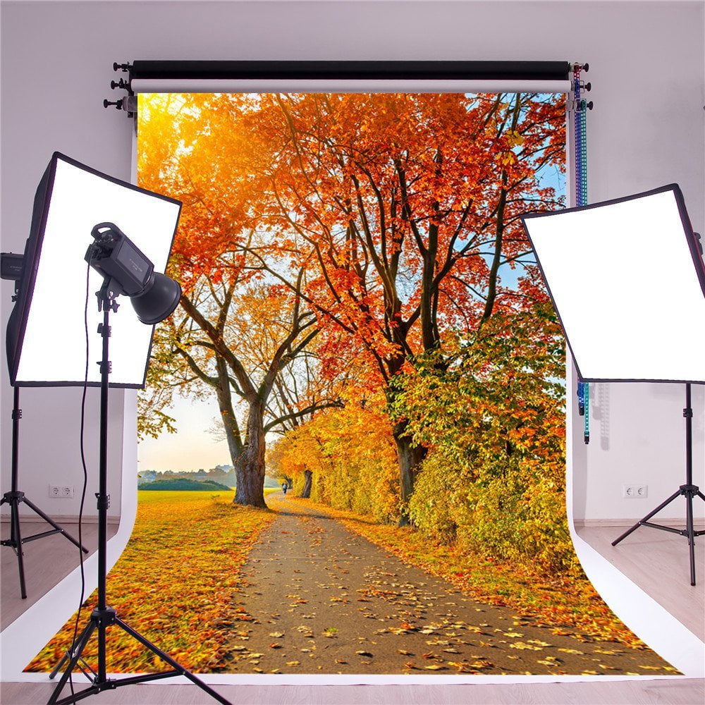 5x7ft Autumn Photography Backdrops Scenic Background Photo Walk Road ...