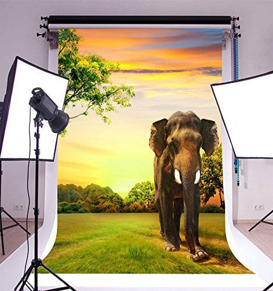 5x7ft Backdrop Studio Props Beautiful Outdoor Scenery Photography ...