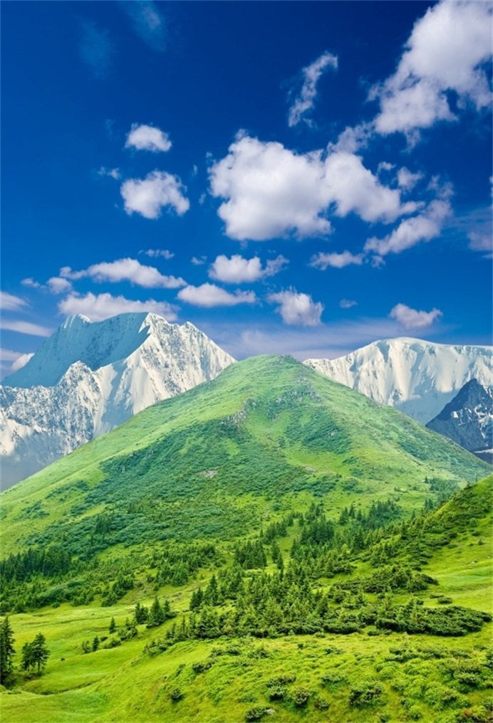 5x7ft Natural Scenic Backdrop Green Hill Snow Mountain Photography ...