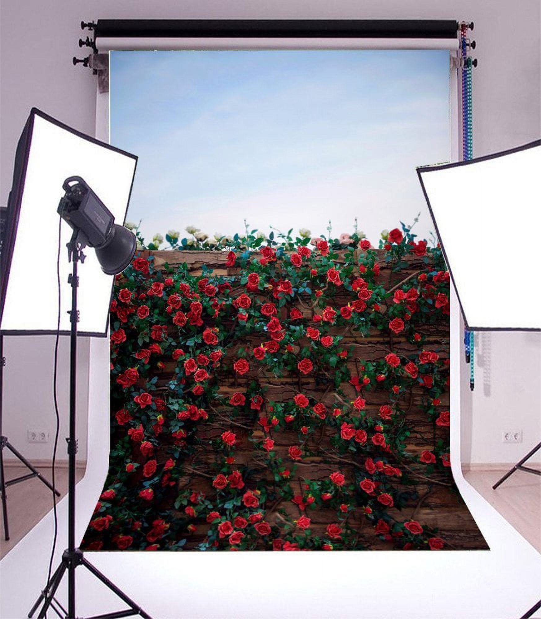 5x7ft Photography Backdrop Lovely Style Beautiful Background Studio ...