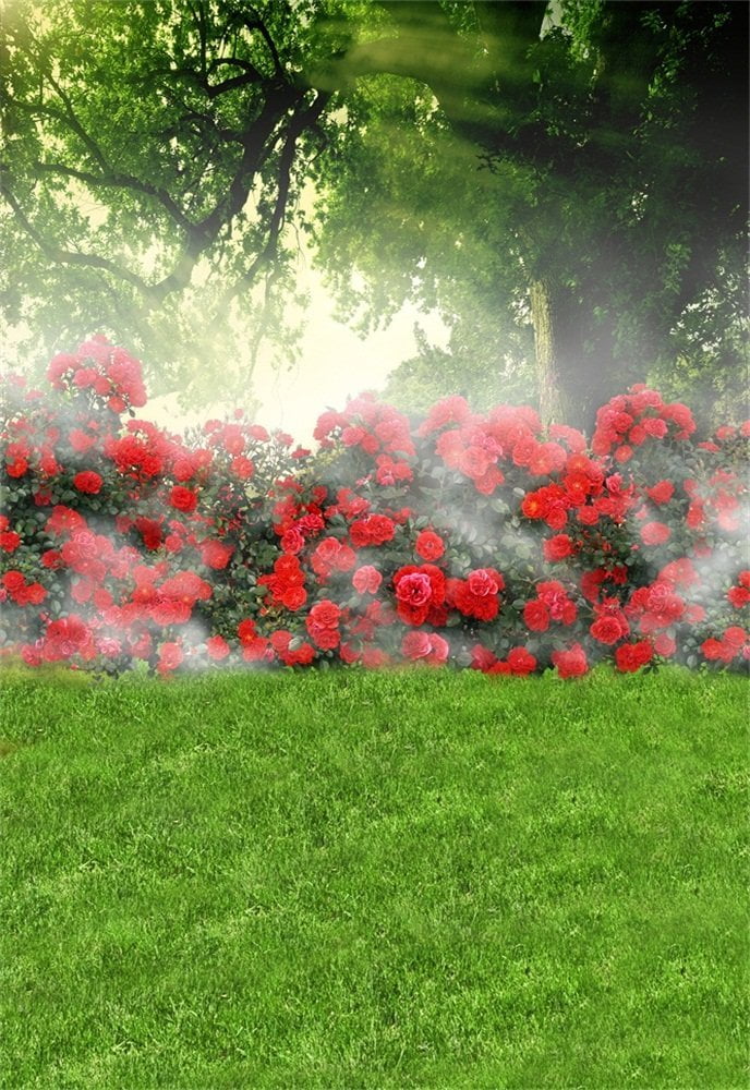 5x7ft Photography Background Outdoors Nature Photo Shooting Girls Bride ...