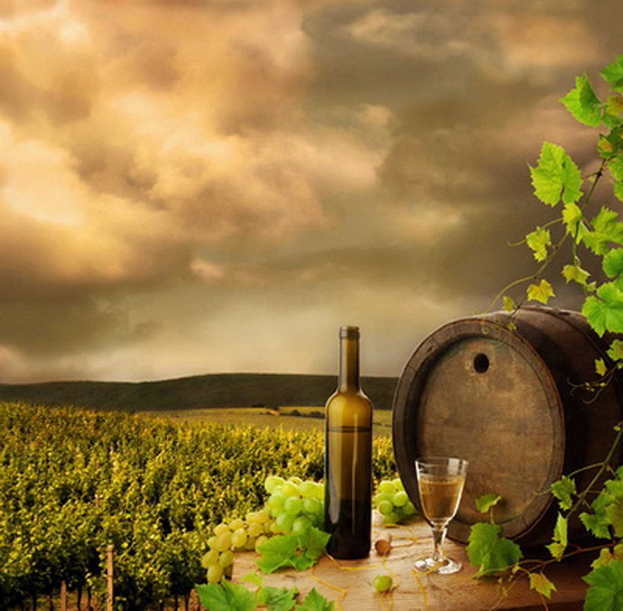 5x7ft Vineyards Wine Photography Backdrop Prop Photo Background ...