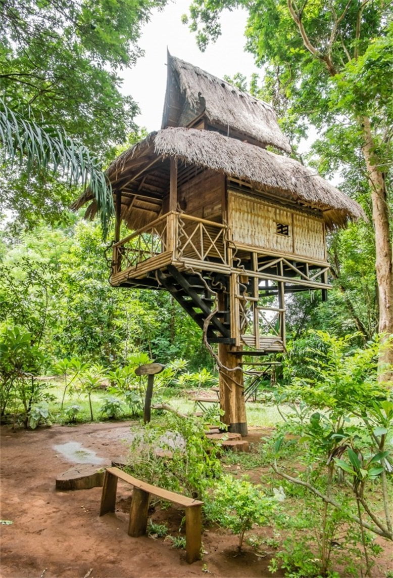 5x7ft Wooden Tree House Backdrop Tropical Forest Garden Photography ...