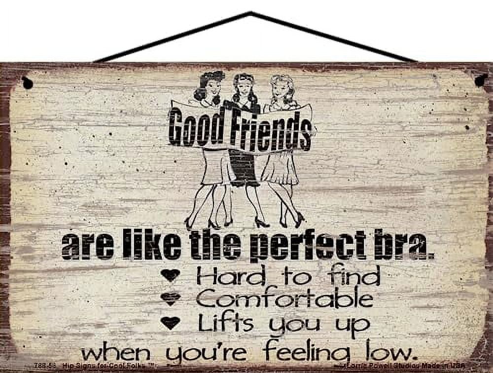 5x8 Vintage Style Sign Good Friends Are Like The Perfect Bra - Humorous ...