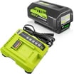 Ryobi 40V 6.0Ah Lithium Battery, Compatible with All Ryobi Tools ...