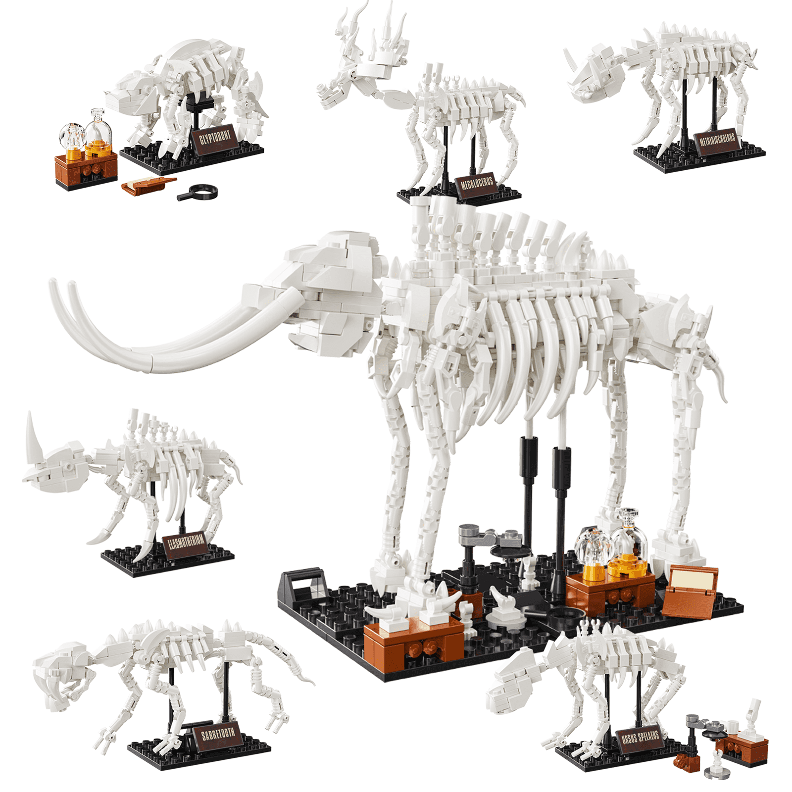 6 in 1 Fossil Building Kit, Compatible with Lego Dinosaur Natural ...
