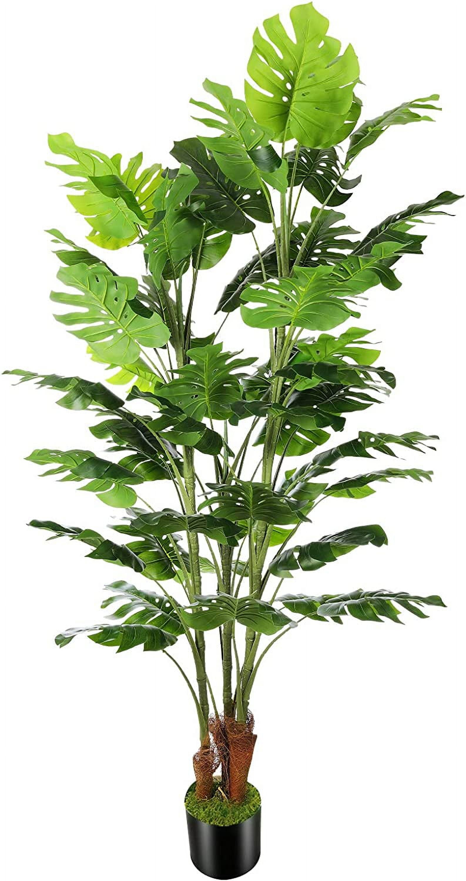 6.3ft Artificial Monstera Deliciosa Tree (75in) with Plastic Nursery ...