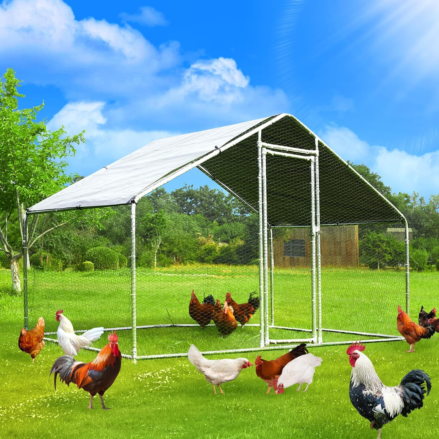 6.4Lx9.84Wx6.6H FT Large Metal Chicken Coops for 8/10/16 Chickens with ...