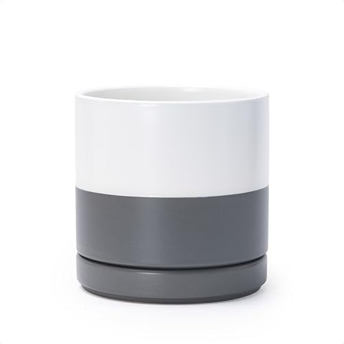 6.5 Inch Ceramic Planter Pot with Drainage Hole and Saucer, Indoor ...