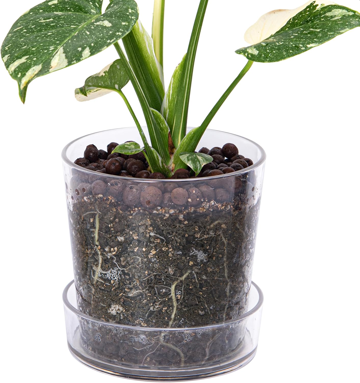 6.5 Inch Clear Acrylic Planter Pot with Tray, Orchid Pot with Drainage ...
