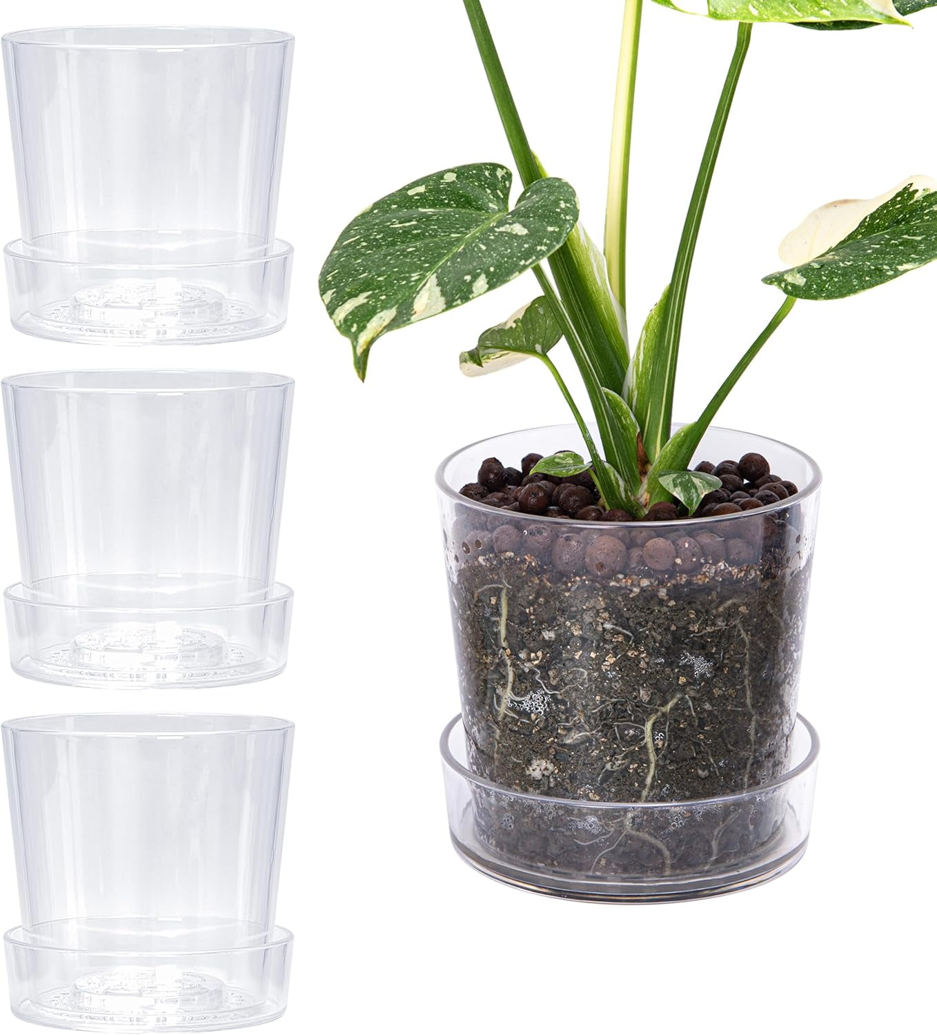 6.5 Inch Clear Planter Pot with Tray, Orchid Pot with Drainage Holes ...