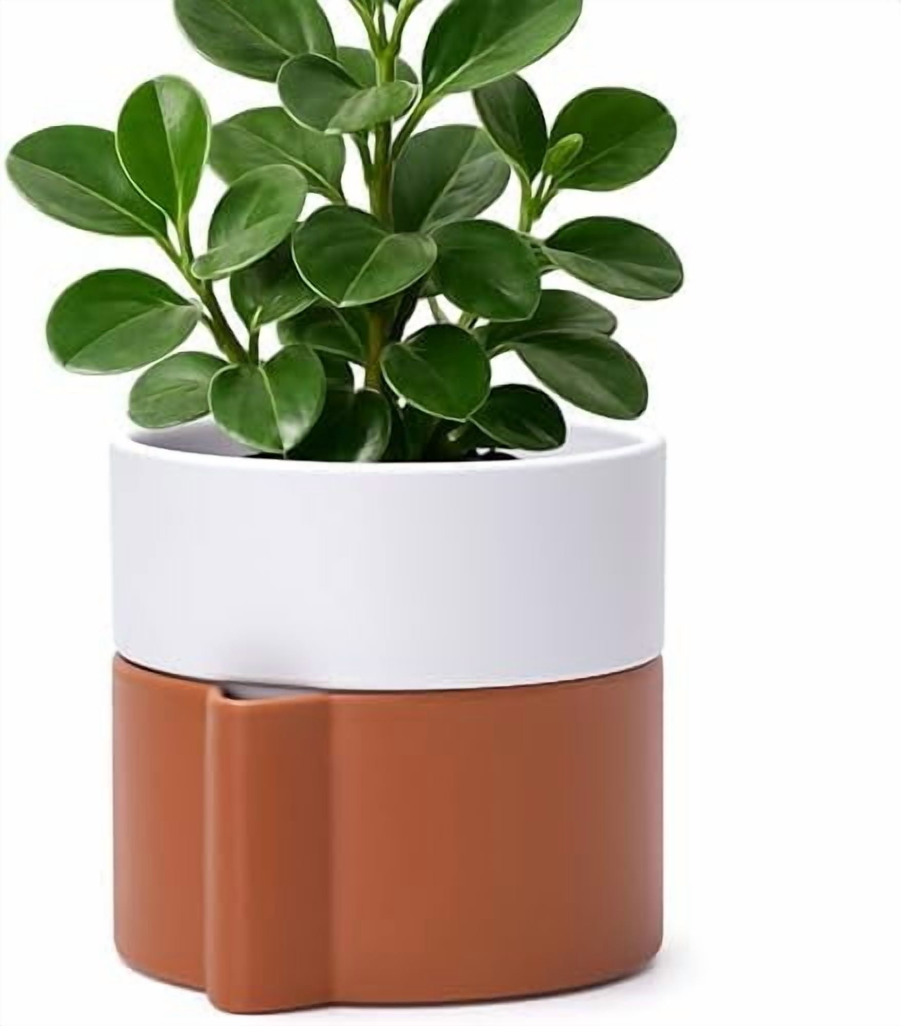 6.5 Inch Self-Watering Planter Pot with Terracotta Insert, Deep Water ...