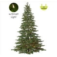 6.5' Layered Pine Instant Power Technology Single Plug Christmas Tree ...