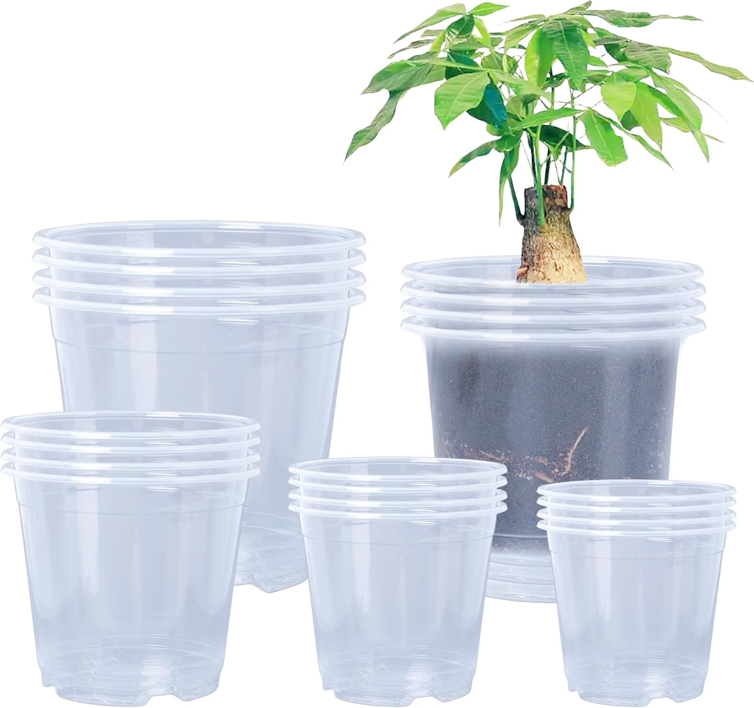 6.7/6/5/4/3.5 Inch Clear Nursery Pots Variety Pack with Drainage Holes ...