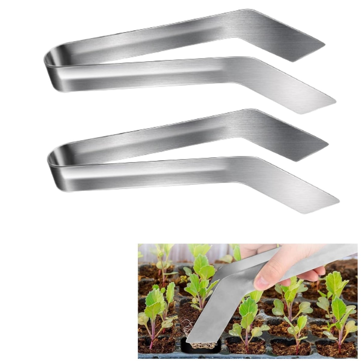6.7" Seedling Transplant Tongs, 2 Pcs Stainless Steel Seedling Starters ...