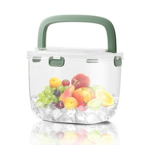 Shop Ice Storage Containers for Home Use at Affordable Prices