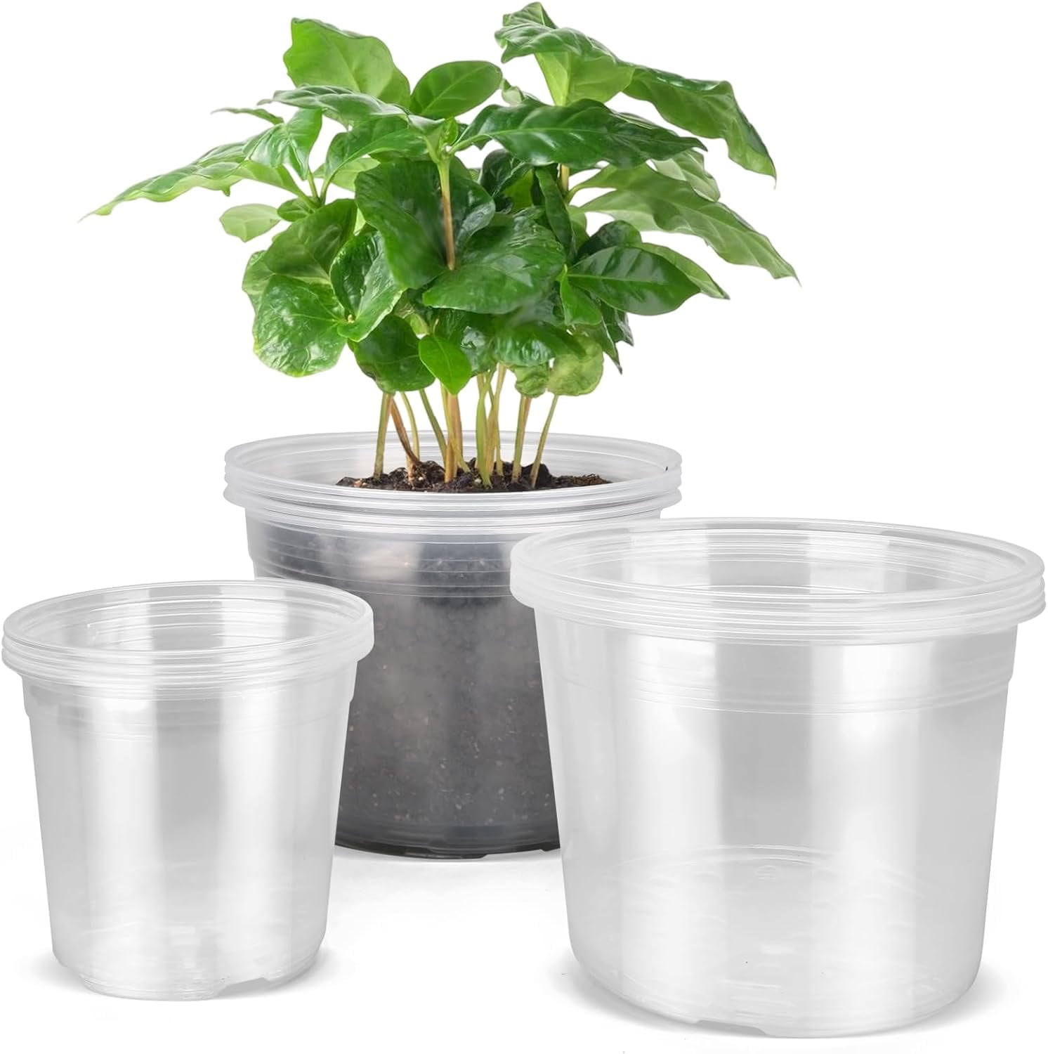 6/8/10 Inch Large Clear Nursery Pots with Drainage, 12 Pack Plastic ...