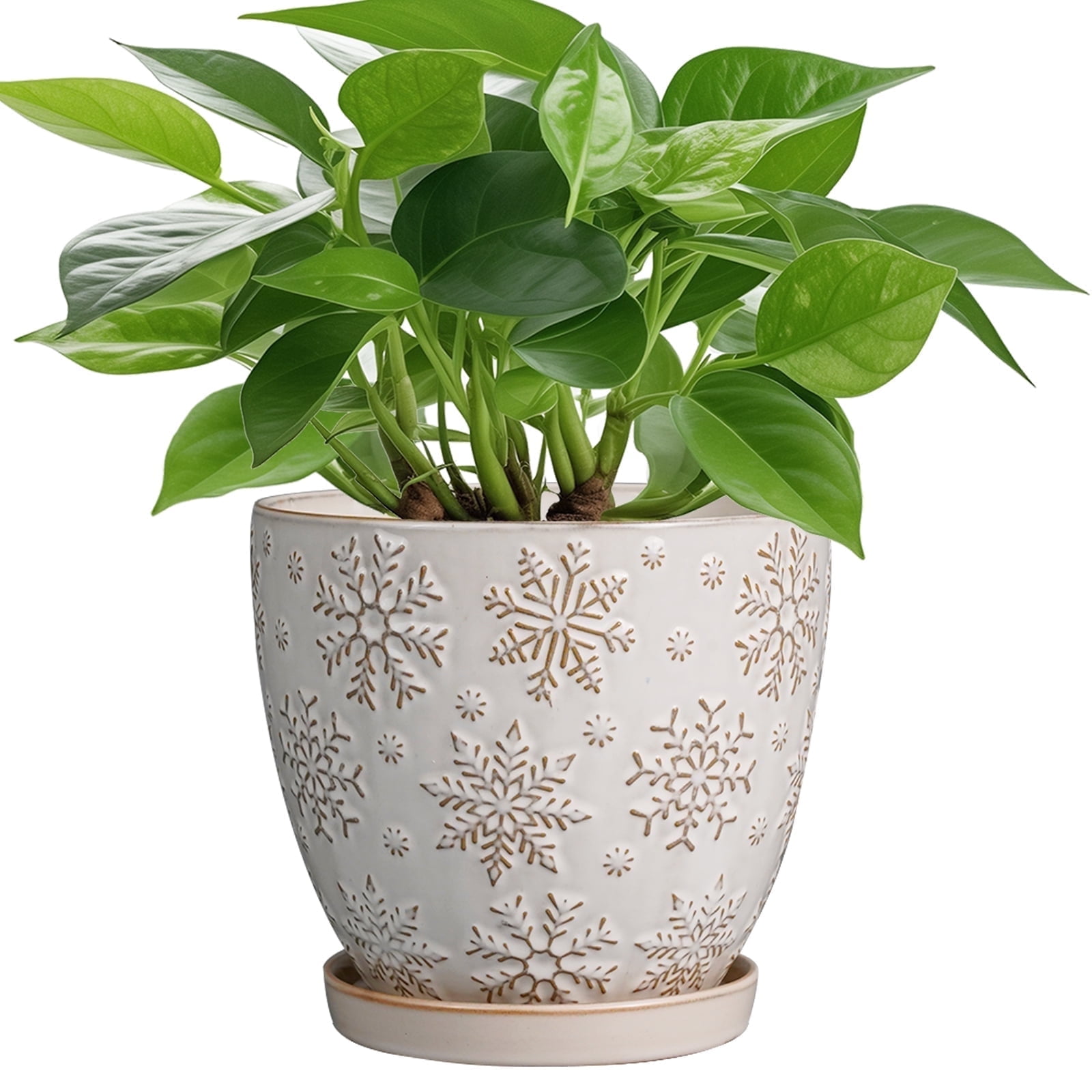 6 inch Ceramic Planter,Small Round Pots for Plants with Saucer ...