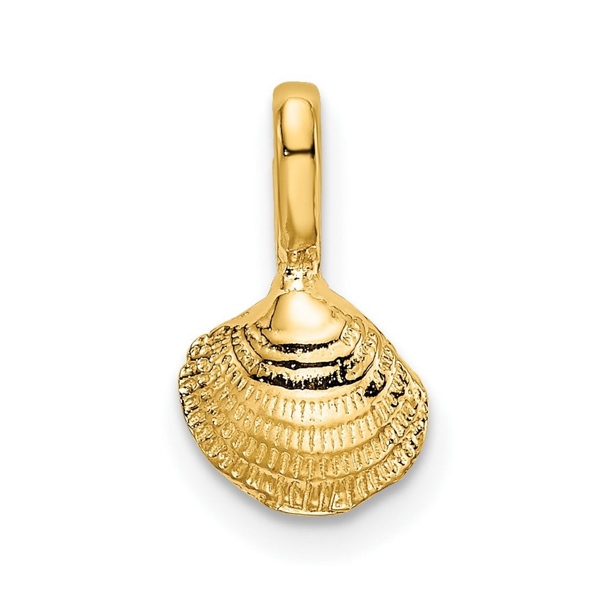 6.9mm 10k Solid Yellow Gold Mini Clam Shell Charm Pendant Necklace for ...