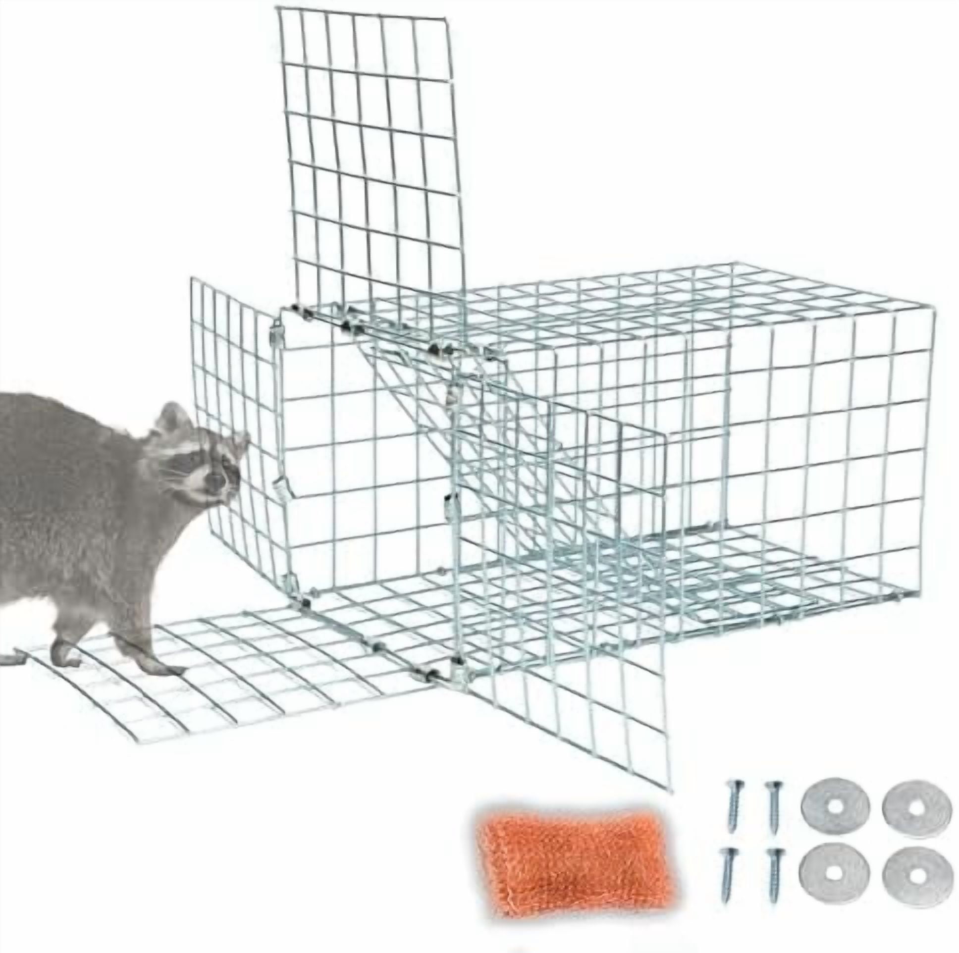 6" Animal One-Way Exit Door: Excluder for raccoon/squirrel (attic ...