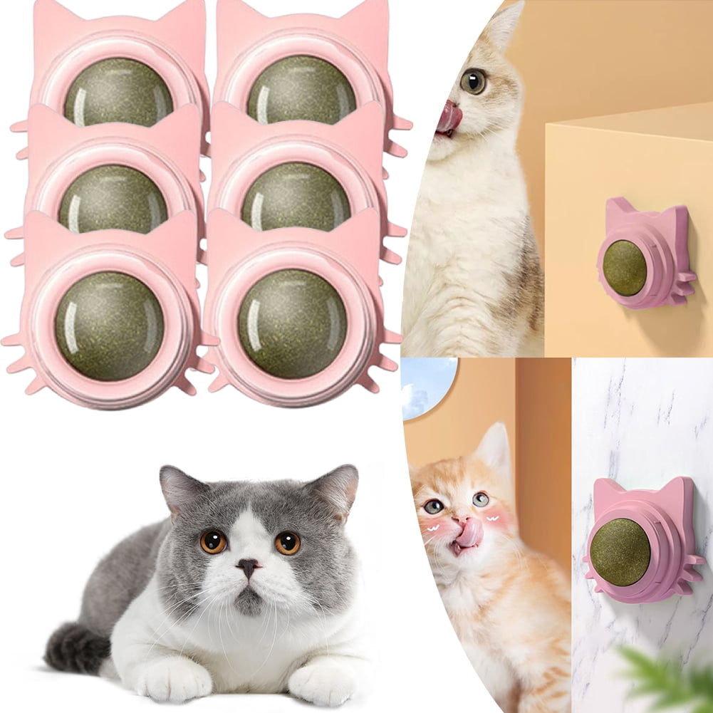 6 Catnip Balls, Edible Kitty Toys for Cats Lick, Safe Healthy Kitten ...