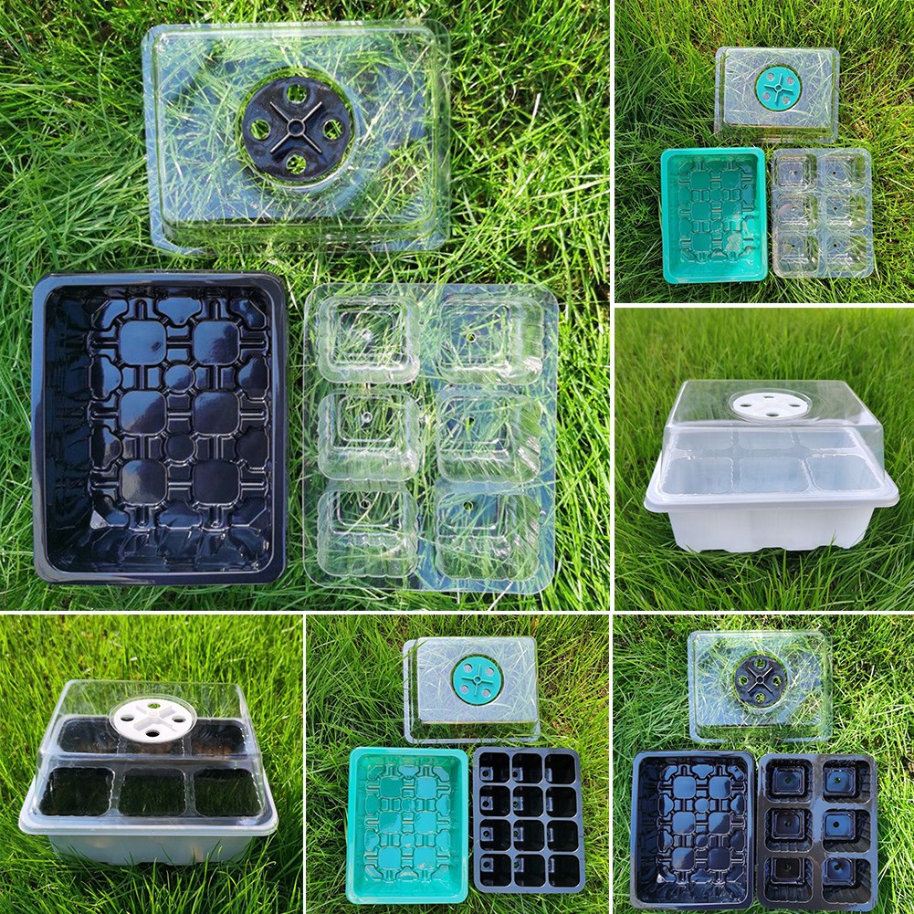 6 Cells Seedling Starter Tray Set Transparent Cover Germination Plant ...