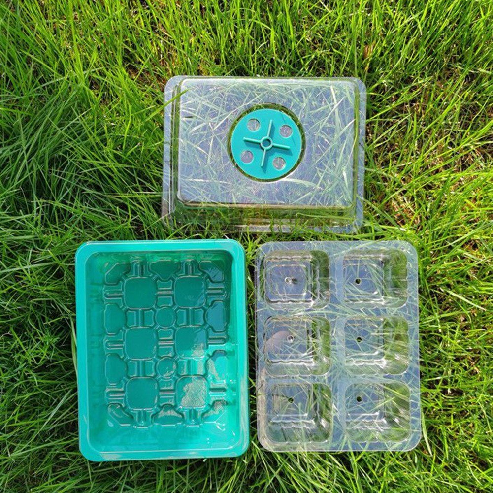 6 Cells Trays Set Starter Tray Germination Plant Pots Grow Box Sowing ...