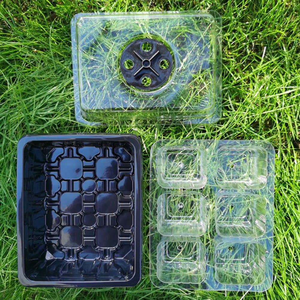 6 Cells Trays Set Starter Tray Germination Plant Pots Grow Box Sowing ...