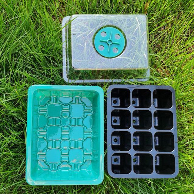 6 Cells Trays Set Starter Tray Germination Plant Pots Grow Box Sowing ...