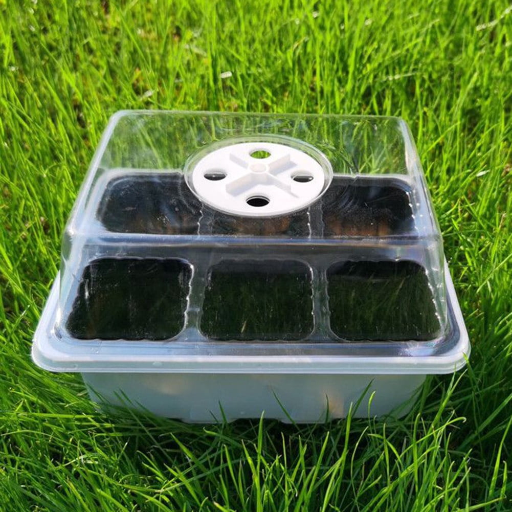 6 Cells Trays Set Starter Tray Germination Plant Pots Grow Box Sowing ...